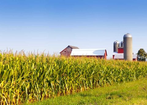 Farm & Ranch Insurance Options | Williams & Case